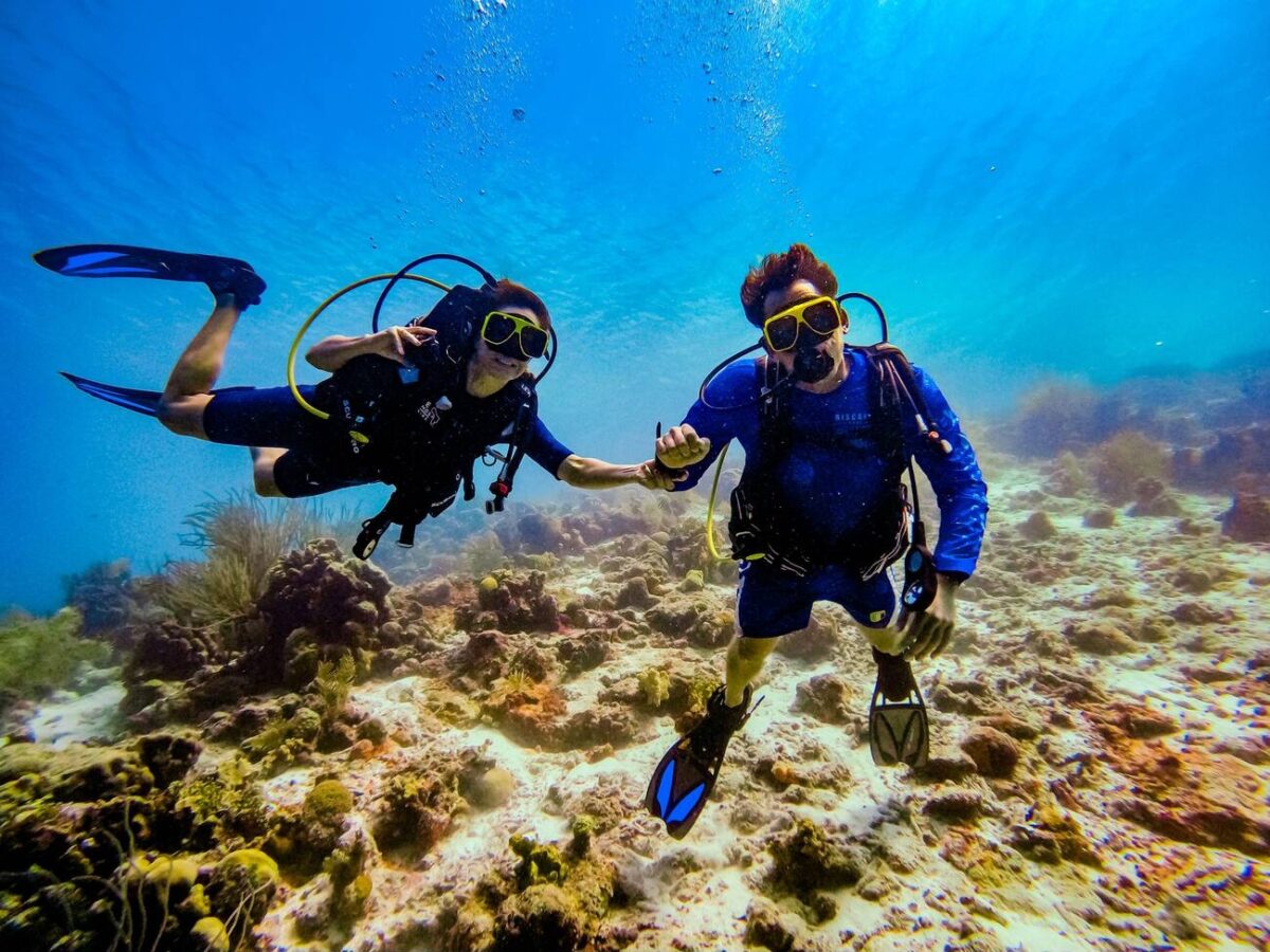 DIVING DAILY - RMF ( Scuba Diving 2 Days ) tour | itravex Egypt